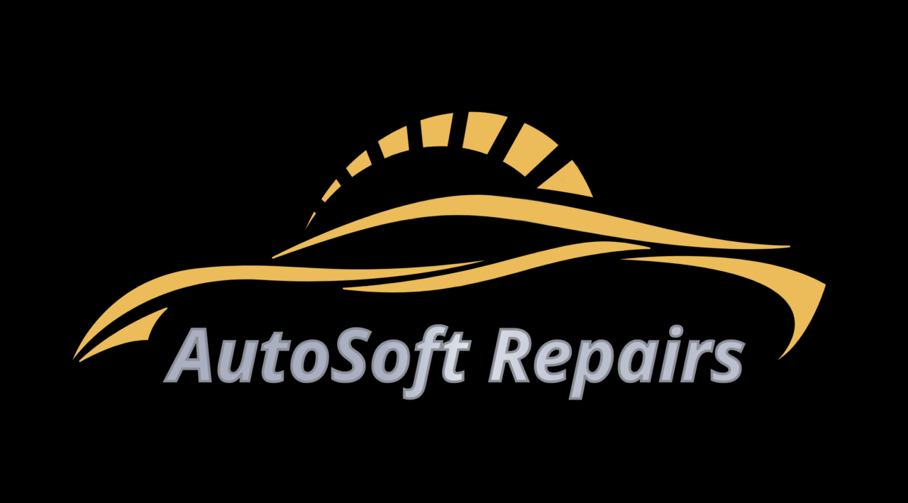 Auto Soft Repairs | Reparatii Auto Software